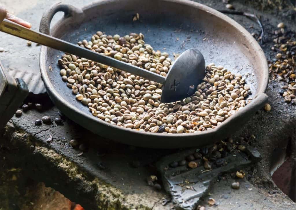 Bali Coffee: Kopi Luwak Seriously Good (2025)